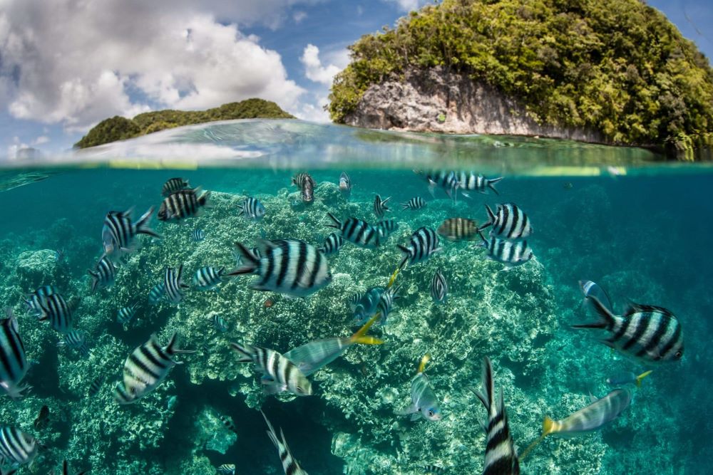 Palau Immigration Requirements